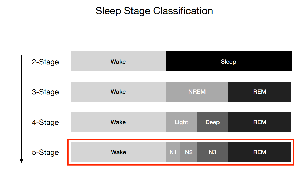 Upcoming #SLEEPON APP 3.0 Feature Sharing # Sleep Stage - SLEEPON