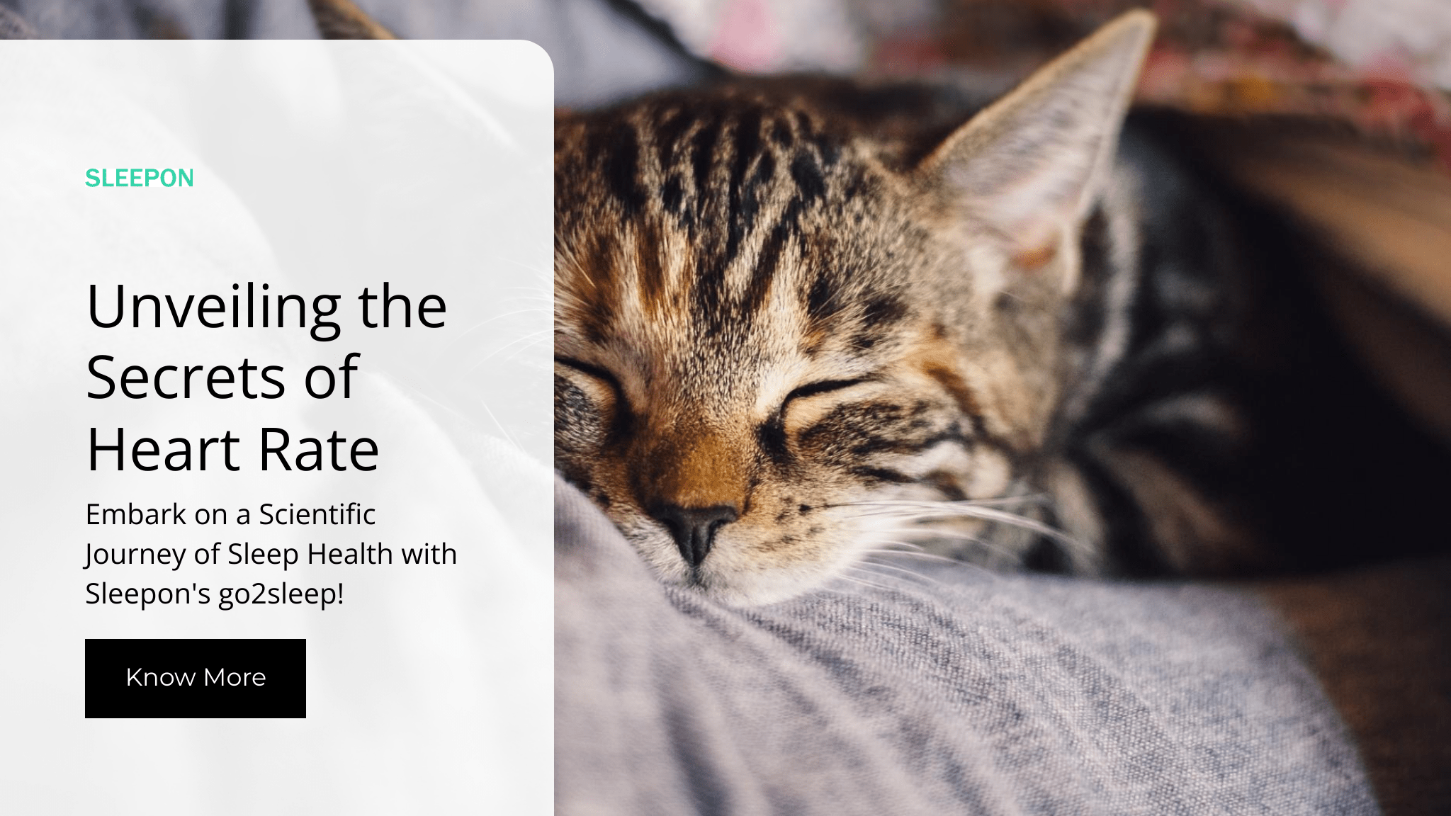 Unveiling the Secrets of Heart Rate: How Your Heartbeat Reveals Your ...